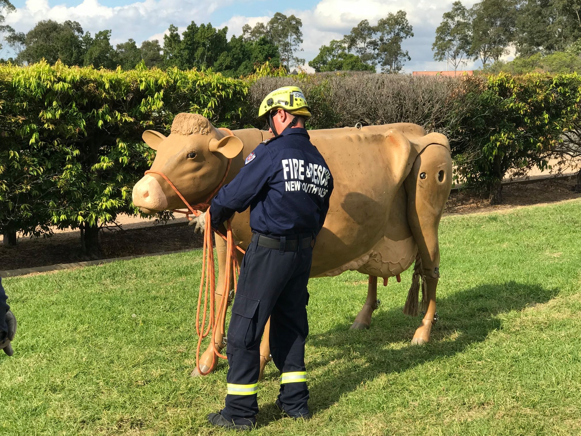 HOW TO RESCUE AN ANIMAL IN DISTRESS – NBN News
