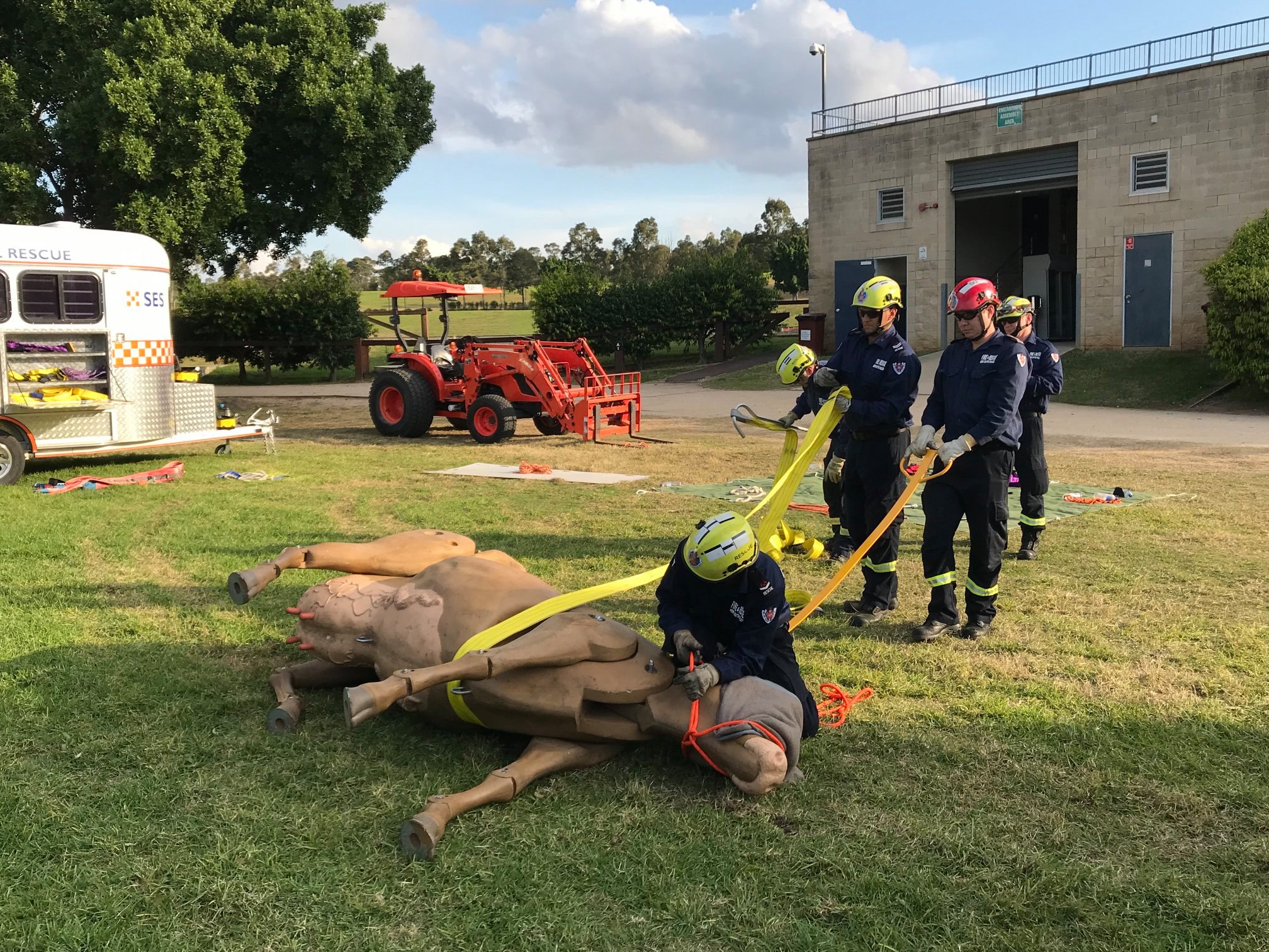 HOW TO RESCUE AN ANIMAL IN DISTRESS – NBN News