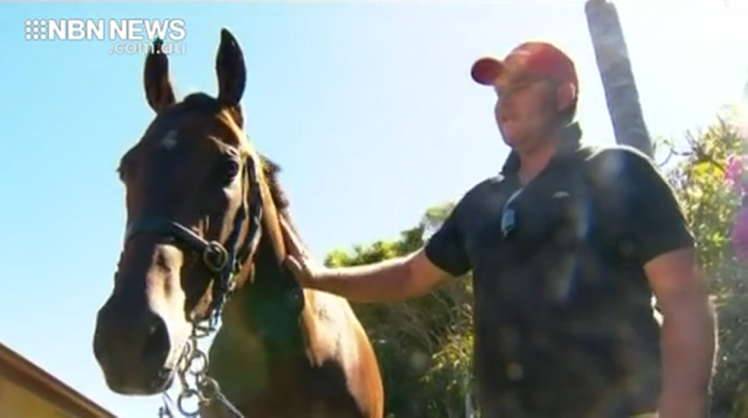NBN News | TRAINER BEN SMITH FOUND GUILTY ON ALL 10 CHARGES