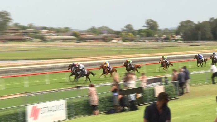 HORSES RUNNING DOWN THE TAREE TRACK FOR MELBOURNE CUP DAY – NBN News