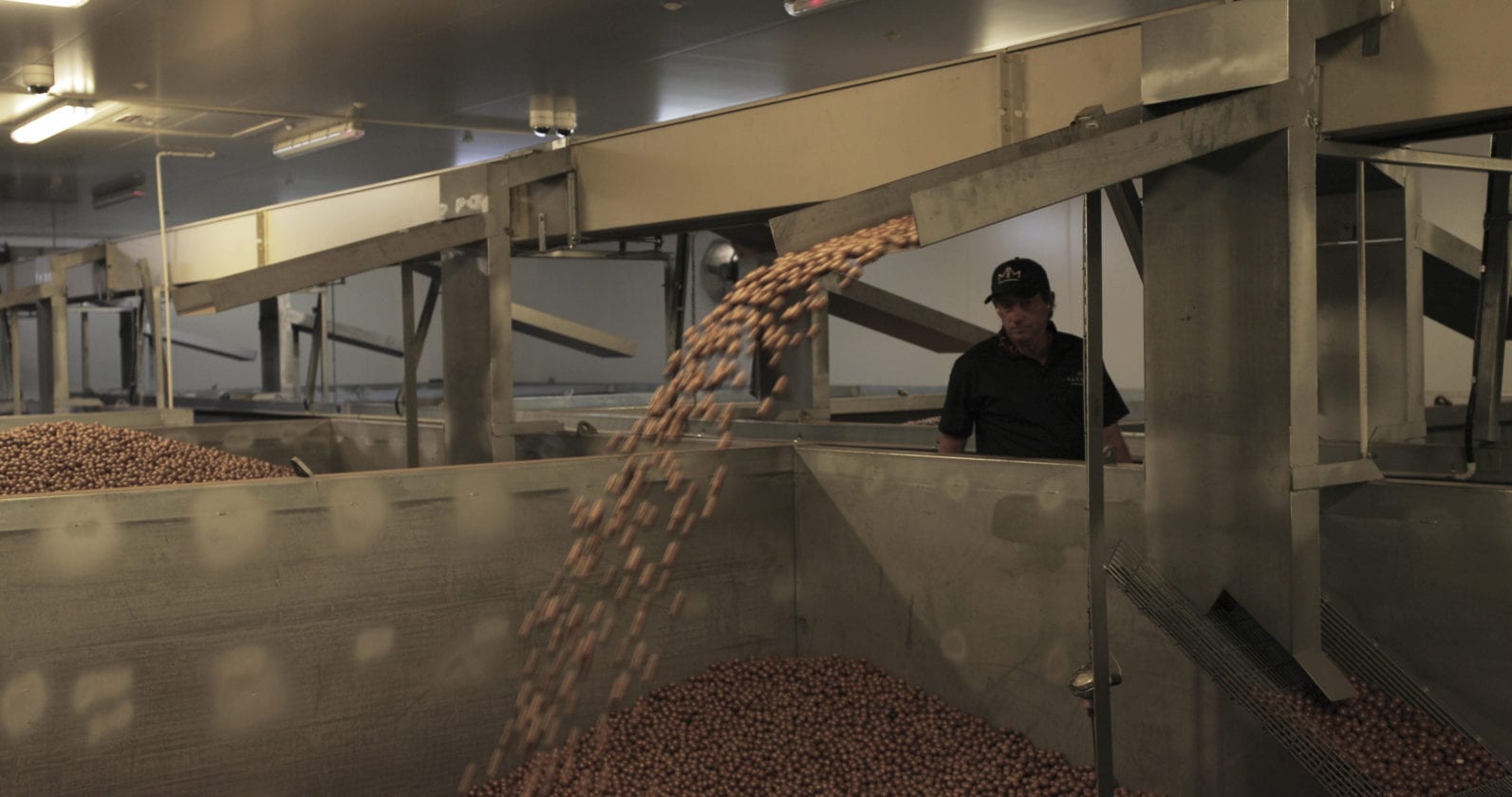 NATION’S MACADAMIA CROP ON TRACK TO MEET 2020 TARGET – NBN News