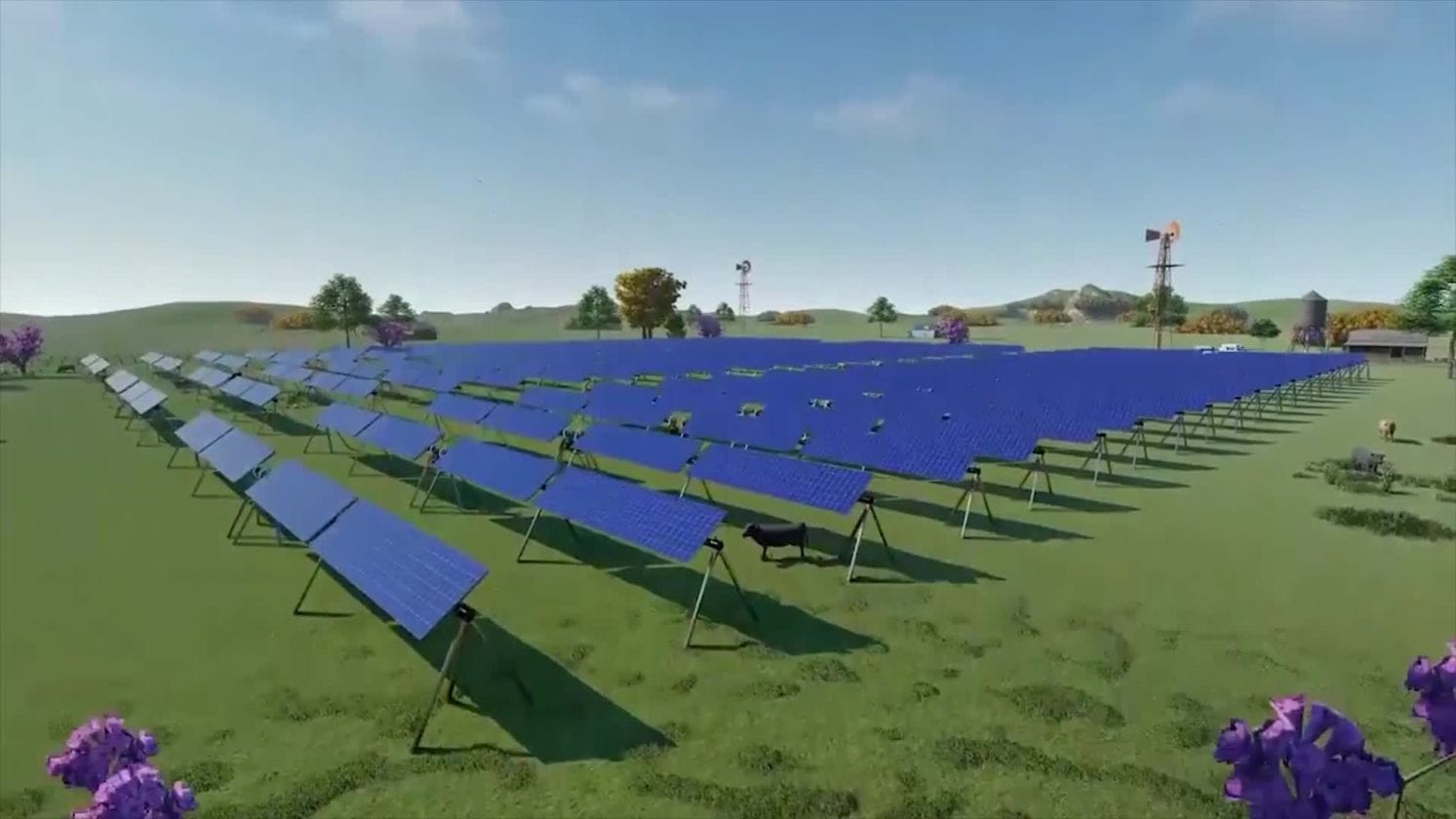 NEW ENGLAND SOLAR FARM RECEIVES THE GREEN LIGHT – NBN News