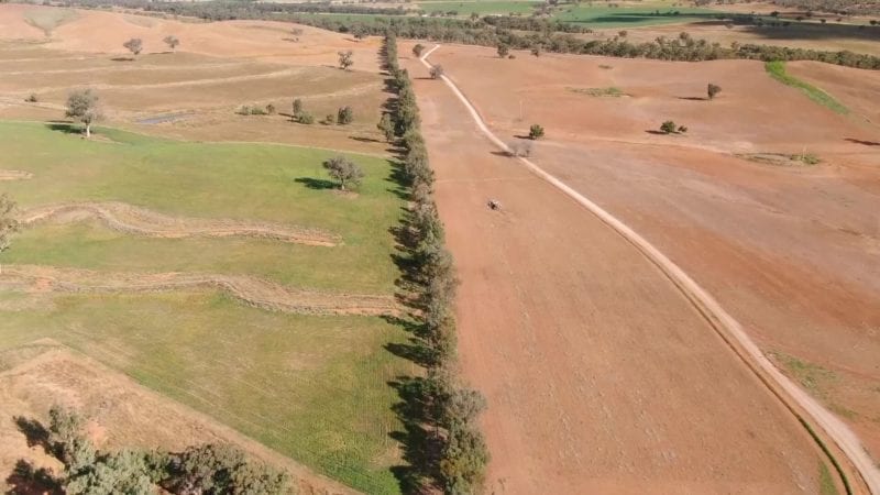 A HAVEN FOR AUSSIE ANIMALS IS BEING BUILT IN MANILLA – NBN News