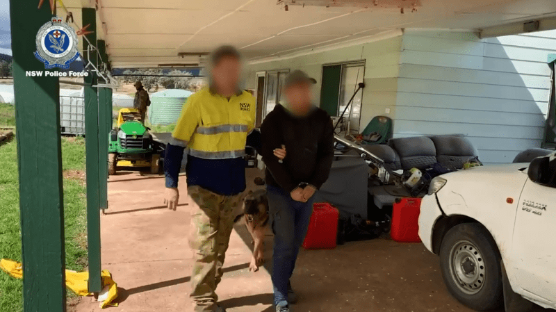 POLICE SIEZE $8 MILLION OF CANNABIS NEAR MUSWELLBROOK – NBN News