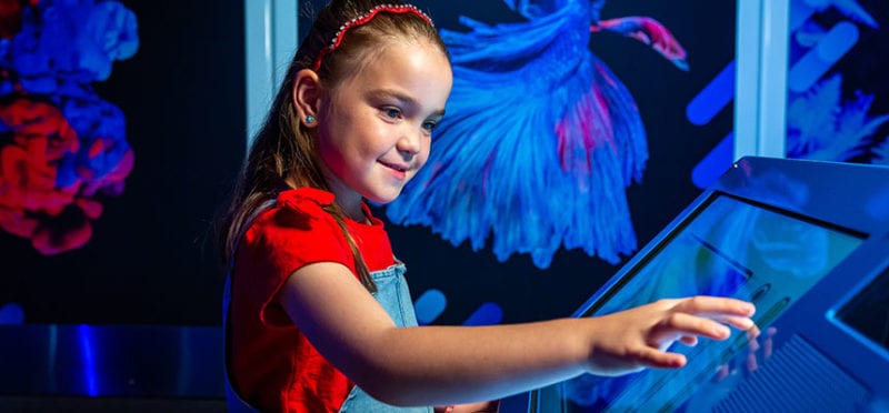 QUESTACON’S COLOUR EXHIBITION HAILED A SUCCESS – NBN News