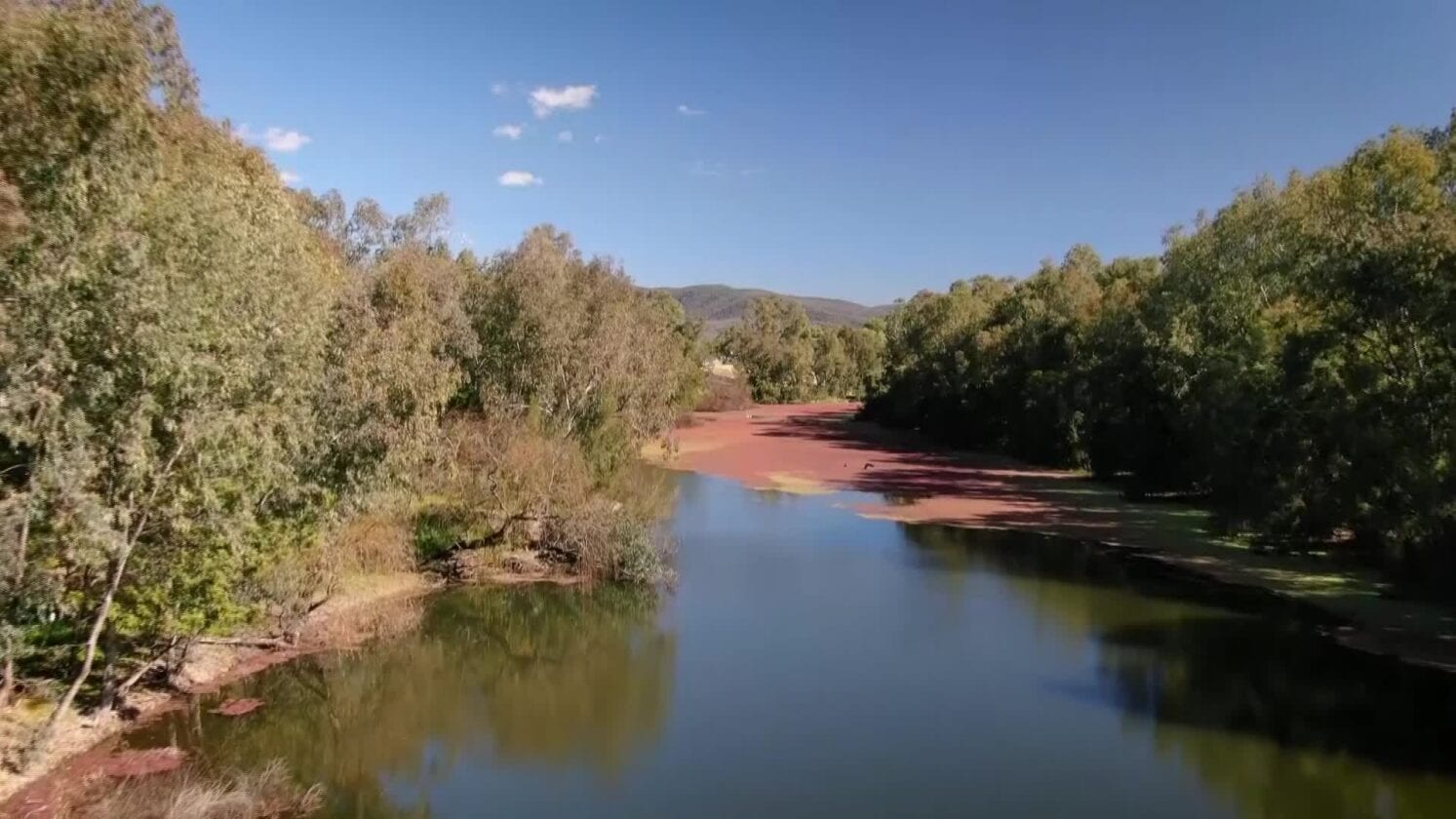 ENVIRONMENTALISTS FEAR PROPOSED MICE POISON WILL KILL OFF MARINE LIFE ...