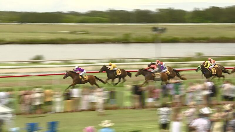 ZENIA TAKES OUT MAIDEN PLATE AT THE ANNUAL BALLINA BOXING DAY RACES ...