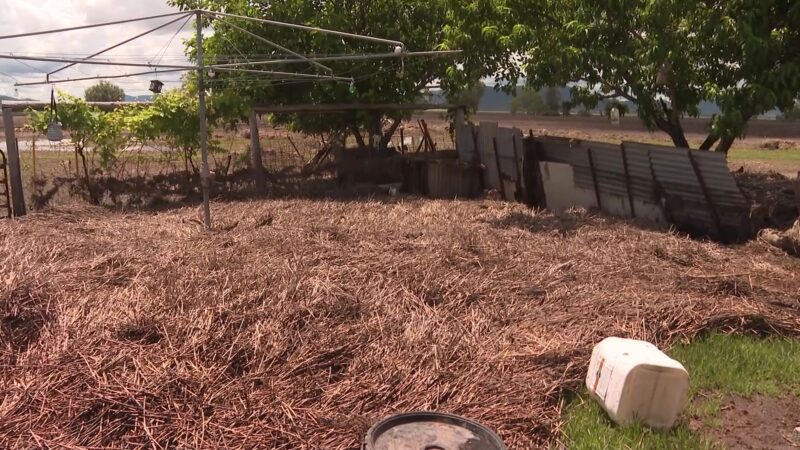 MOOKI RIVER DECIMATES CROPS, BACKYARDS AFTER FLOODING – NBN News