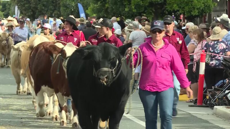 LESS THAN 100 DAYS UNTIL CASINO BEEF WEEK’S 40TH ANNIVERSARY – NBN News