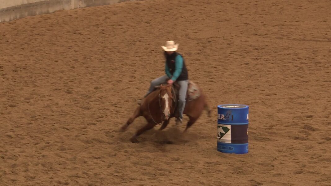 National barrel racing final to begin in Tamworth – NBN News