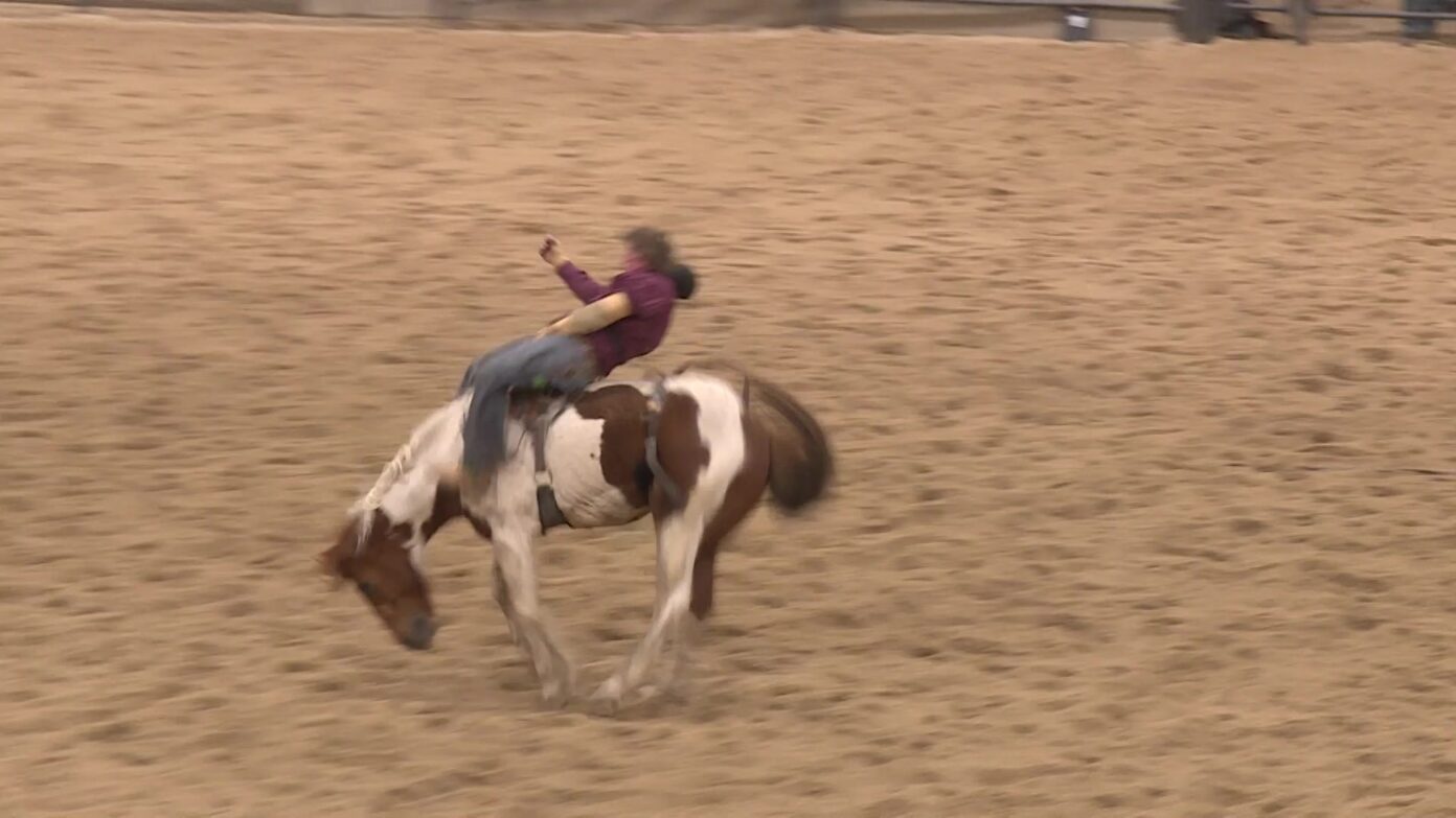 Rodeo on display at Tamworth Show – NBN News