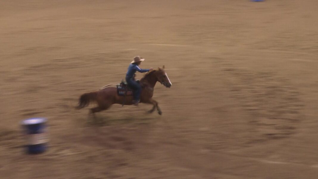 ABCRA feature rodeo goes off with a bang in Tamworth – NBN News