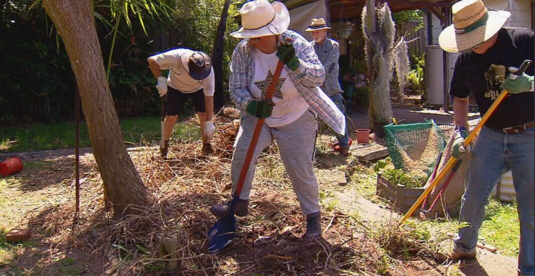 Generous snake-catchers organise ‘backyard blitz’ for overgrown Hunter ...