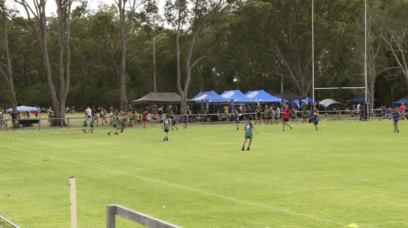 Northern Eagles Junior Touch Footy sees hundreds compete in Coffs ...