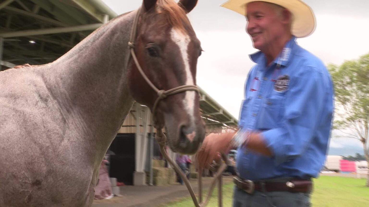 Roger Grant wins first Nutrien Classic final – NBN News