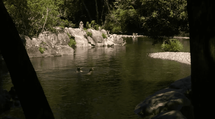 Bellingen’s Promised Land being loved to death – NBN News