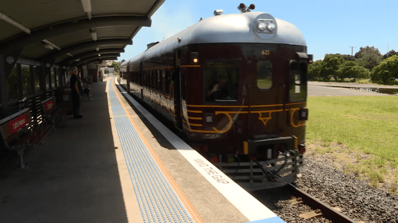 Rainforest Rattler rolls back into Coffs Harbour – NBN News