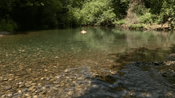 Magic Pools at Orara West State Forest are losing their magic – NBN News
