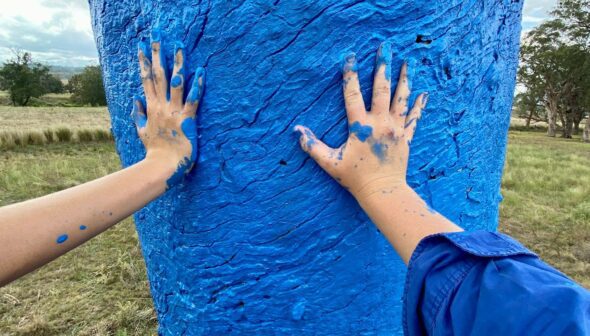 Brave student launches Blue Tree Project at school – NBN News