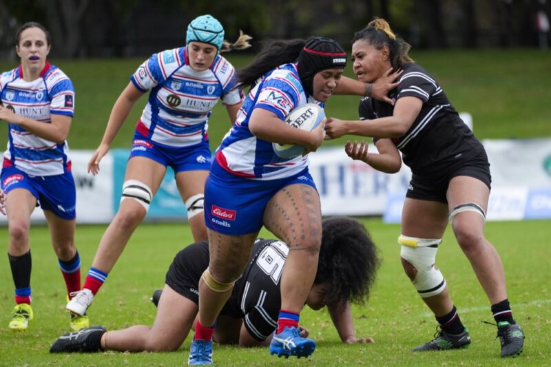 2023 Shute Shield Women – Wildfires v West Harbour – NBN News