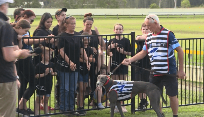 Top dog: Reel ’em Bluey wins 2023 Taree Cup – NBN News