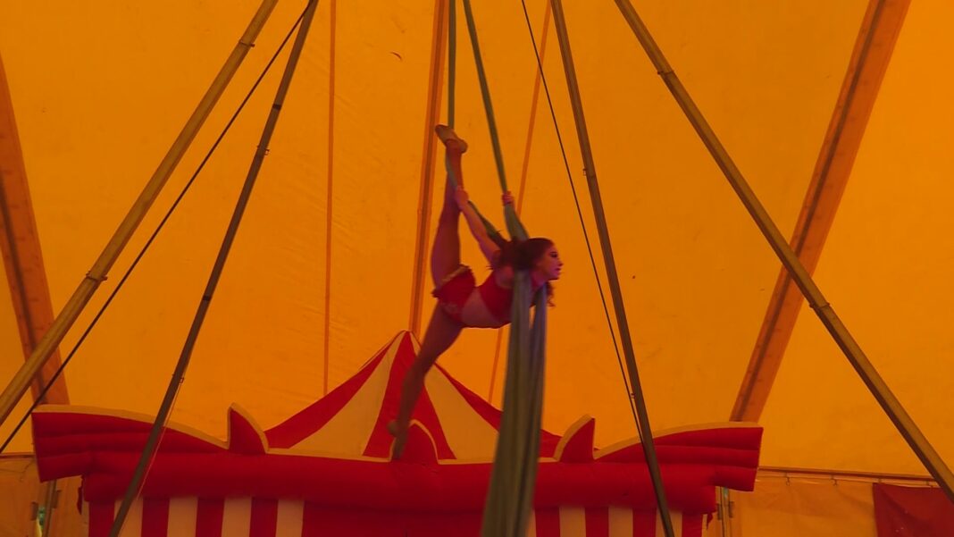 Harrington Circus rolls into the Central Coast – NBN News