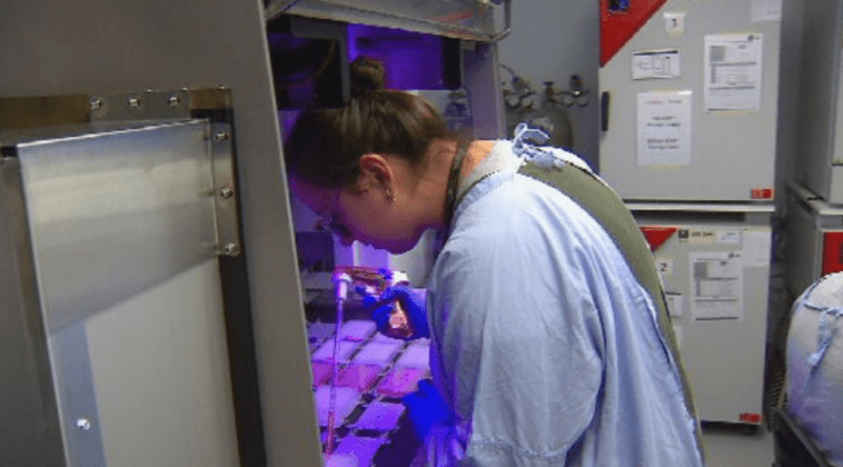 The new world-first trial increasing life expectancy of kids with DIPG ...