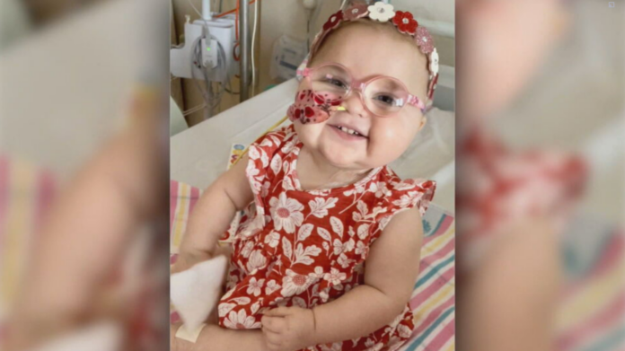 Poppy Grace Lifeblood team still donating amid urgent call this winter ...