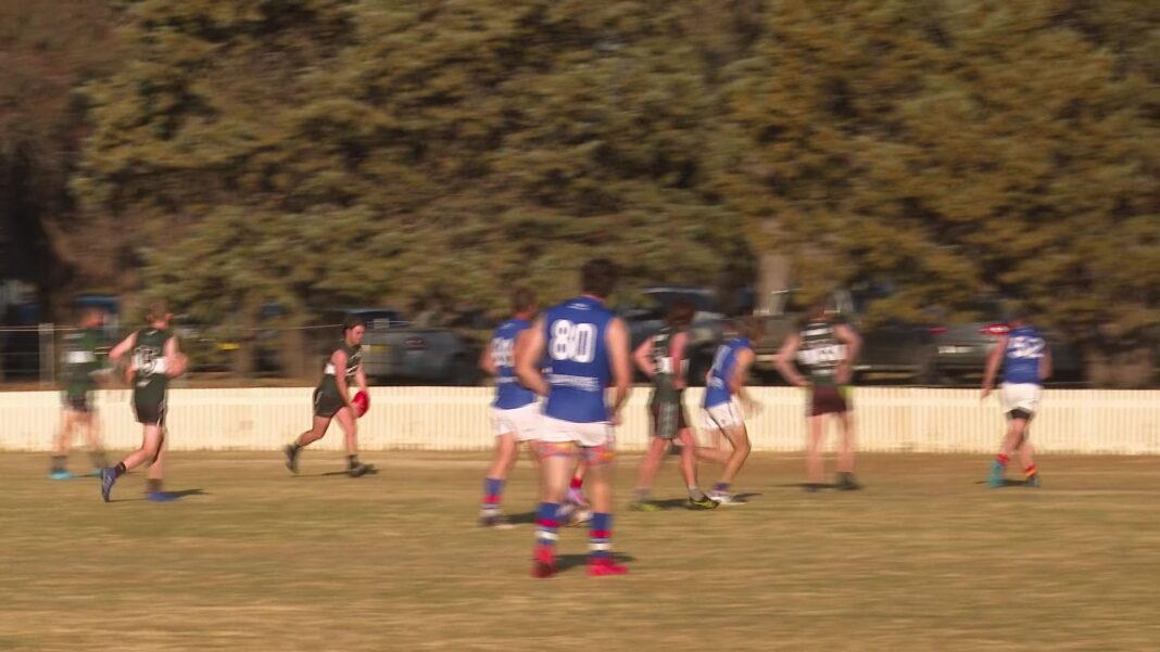 New England nomads thrash the struggling Gunnedah Bulldogs – NBN News