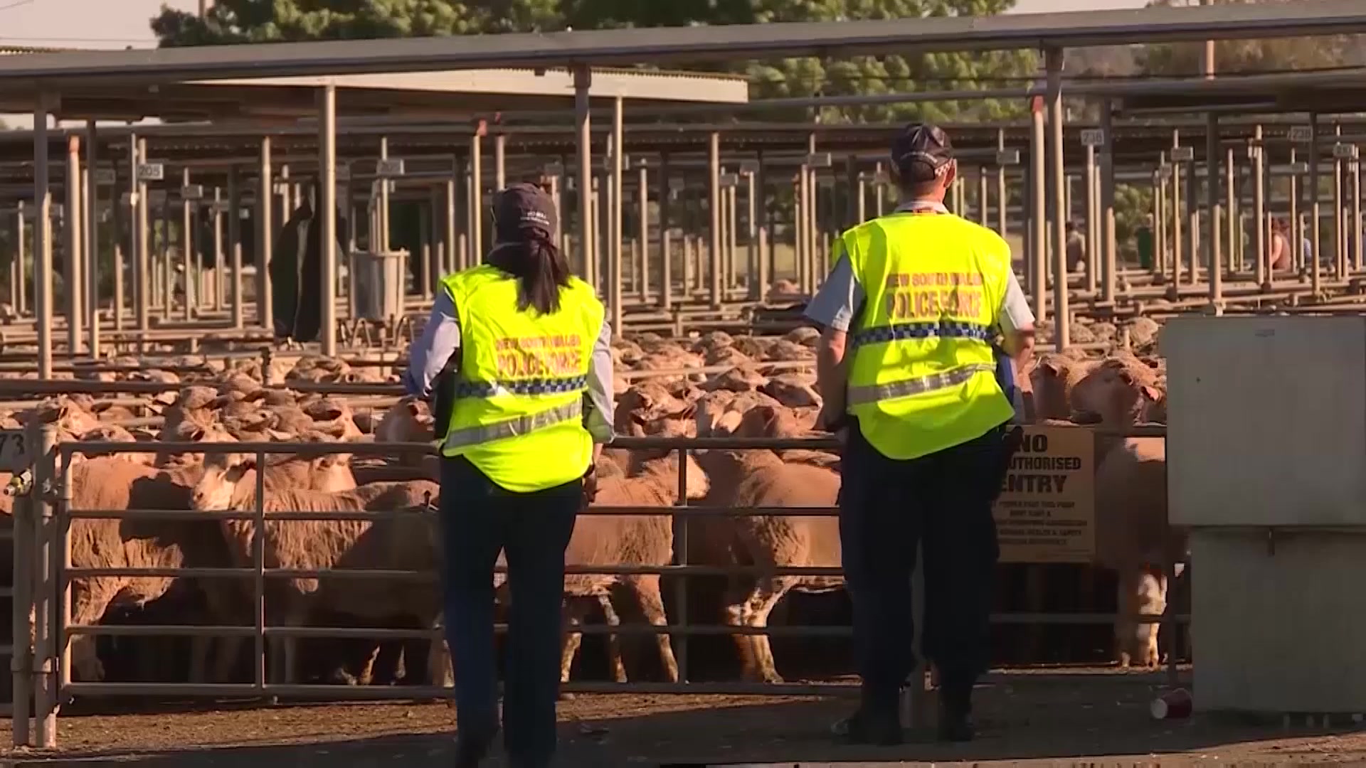 Academics delve into Australia’s rural crime – NBN News