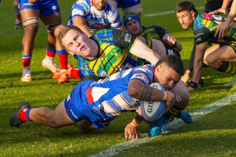 PHOTO GALLERY | Shute Shield | Wildfires v Gordon – NBN News