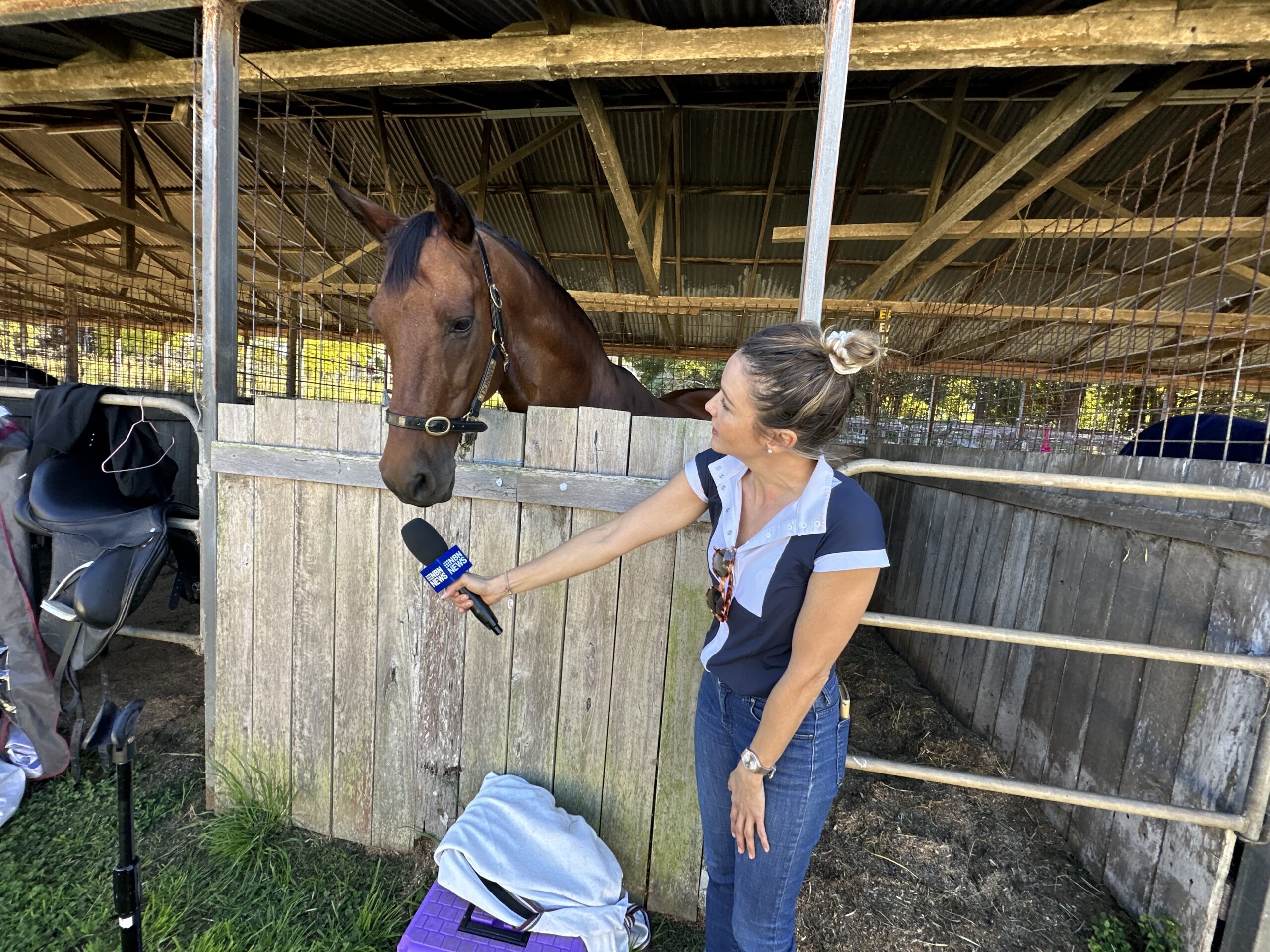 Far North Coast Dressage Championships gallops back to glory – NBN News