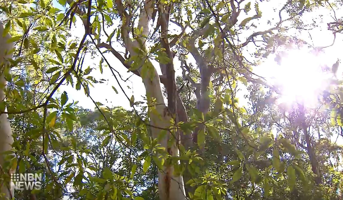 Local group petition to stop project – NBN News