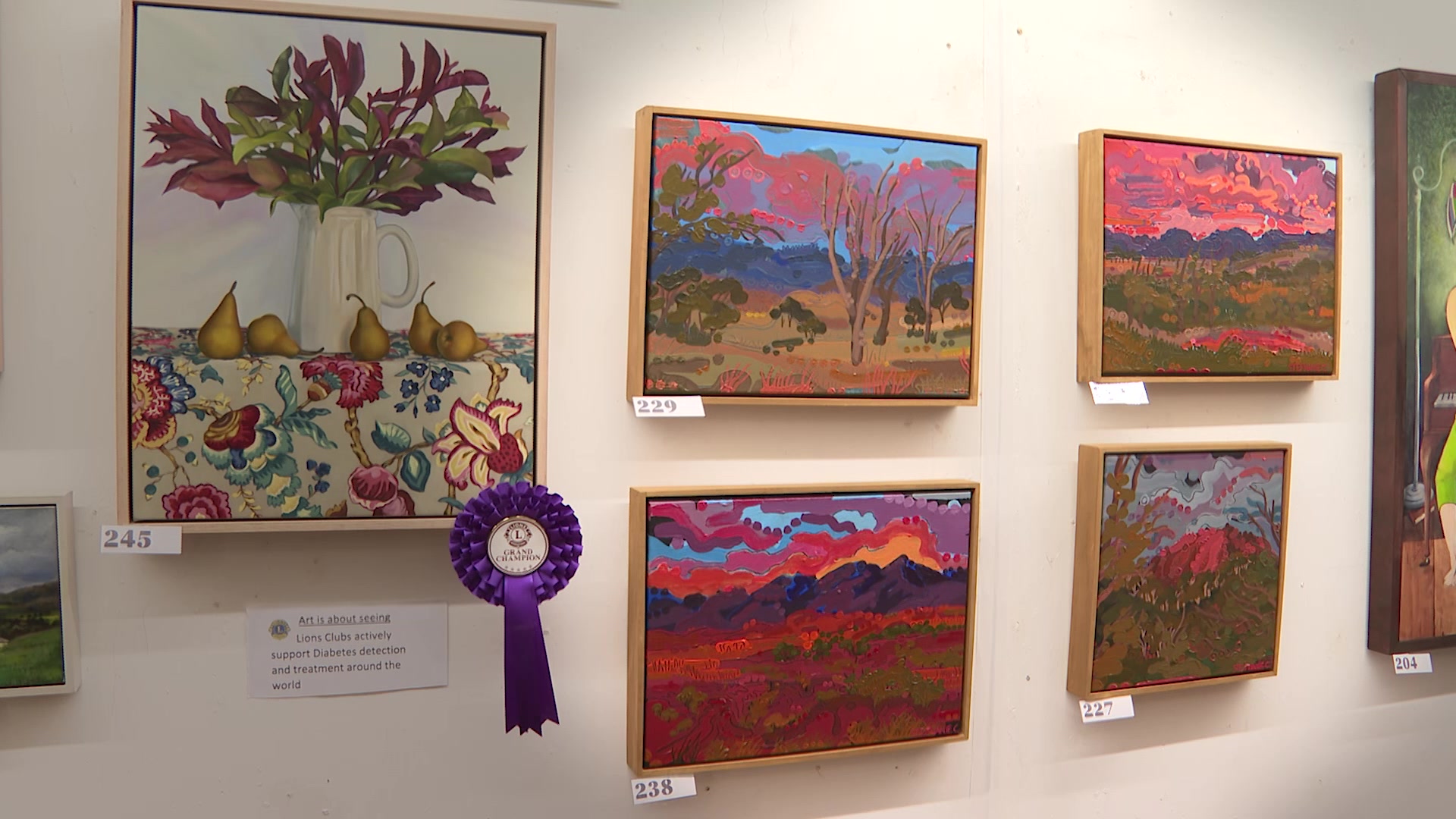 The best in local art on display – NBN News