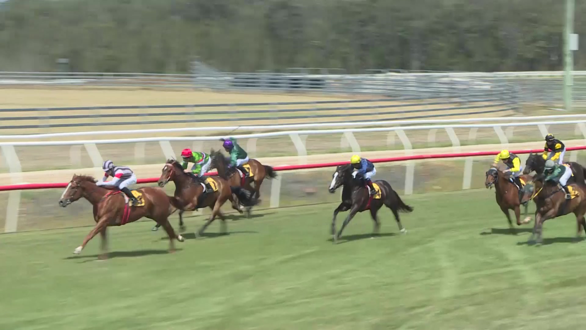 Hardley Grey takes out Richmond Valley Cup – NBN News
