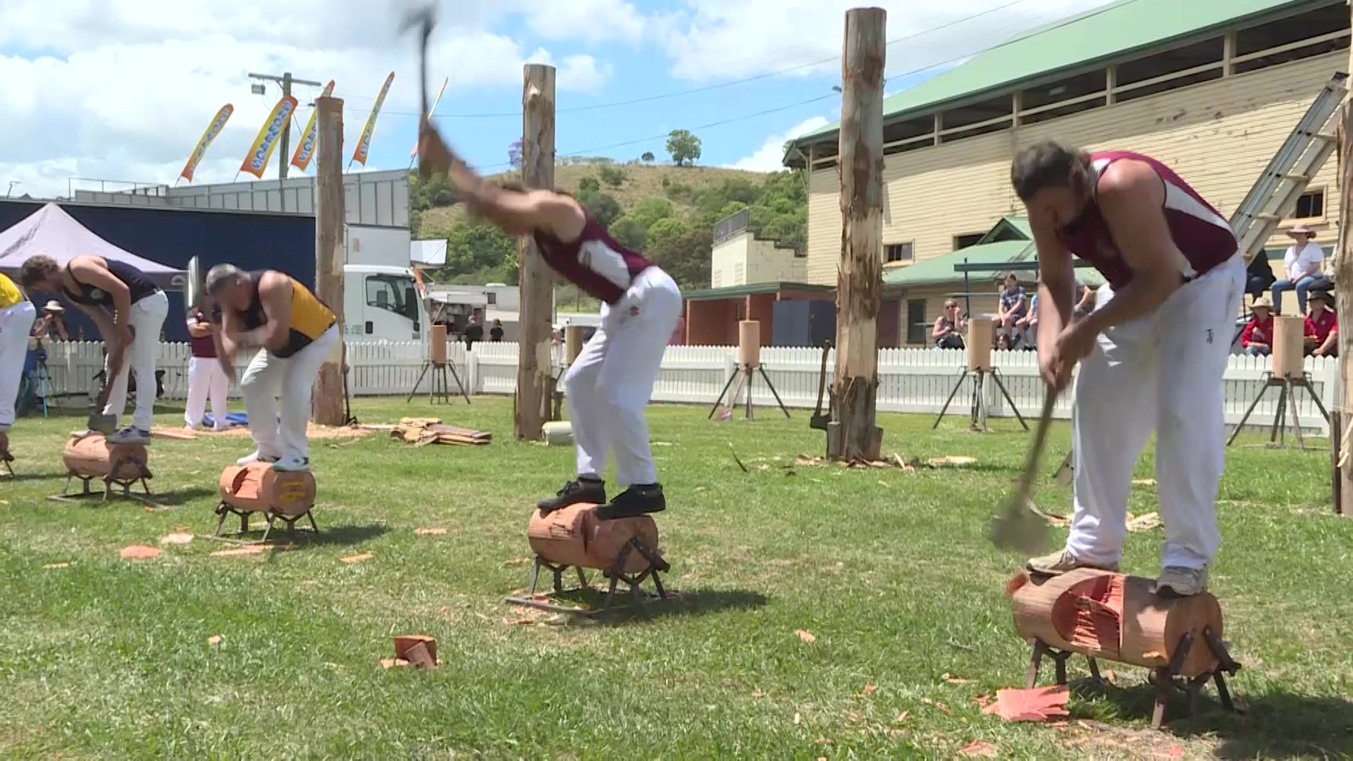 Wood choppers axing their way through Hardwood Woodchop competition ...