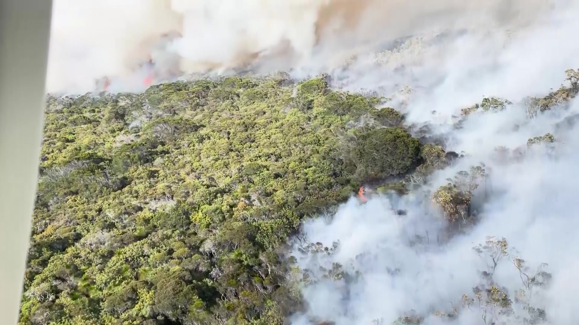Byron Bay blaze downgraded after intense firefighting efforts – NBN News