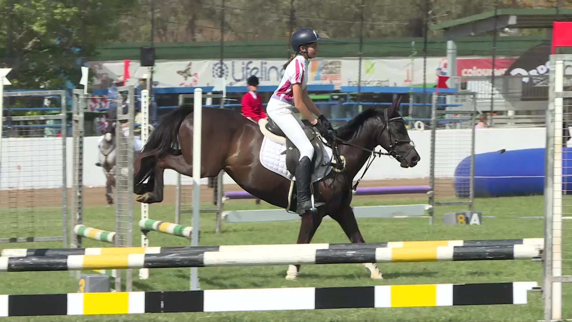 Riders compete in jumping showdown in Lismore – NBN News