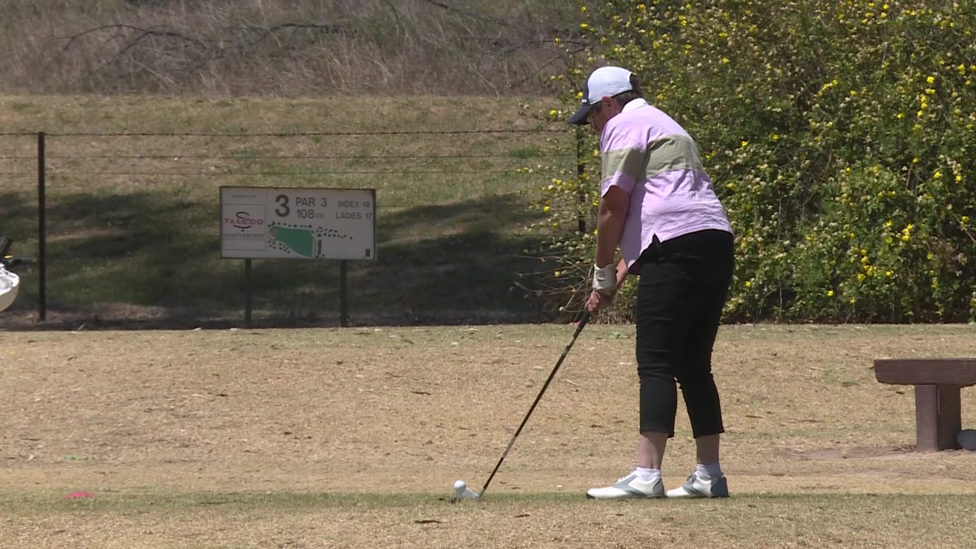 Walcha hosts NSW Women’s Sand Greens Championships – NBN News