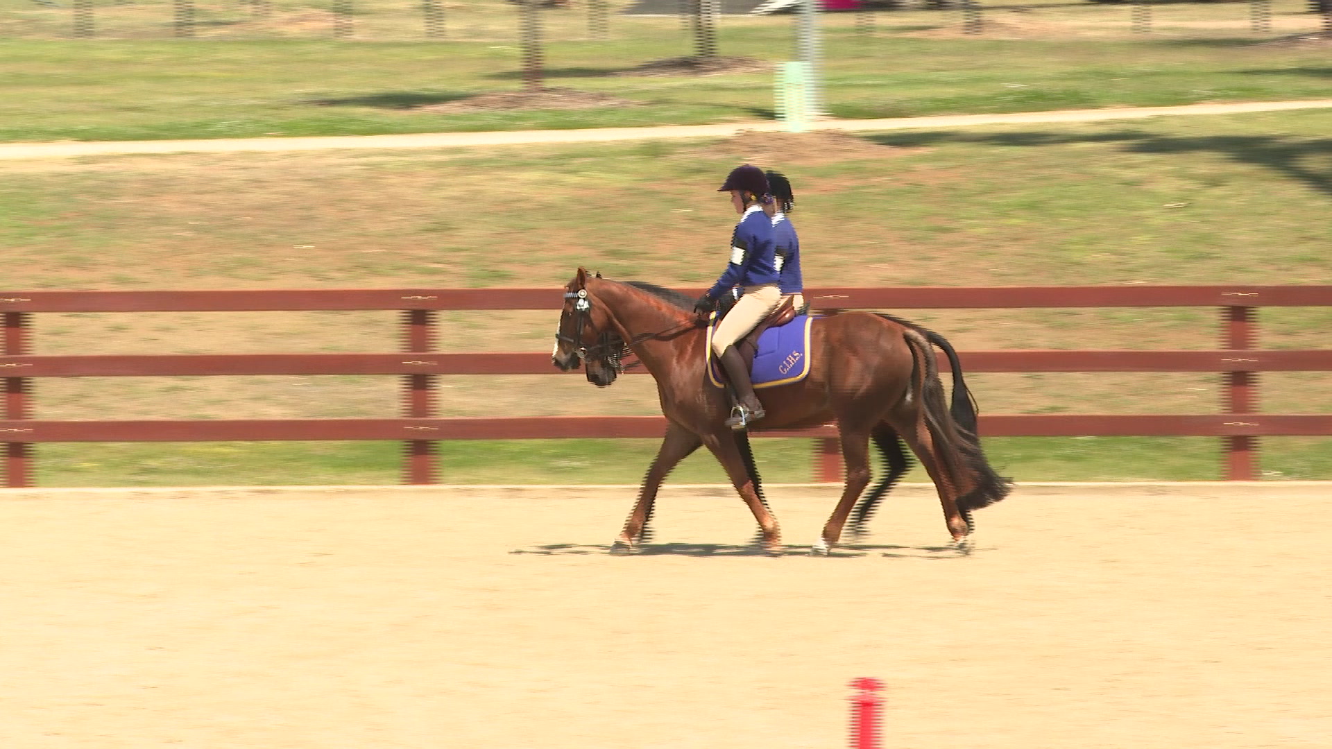 AELEC filled for Interschools Horse Extravaganza – NBN News