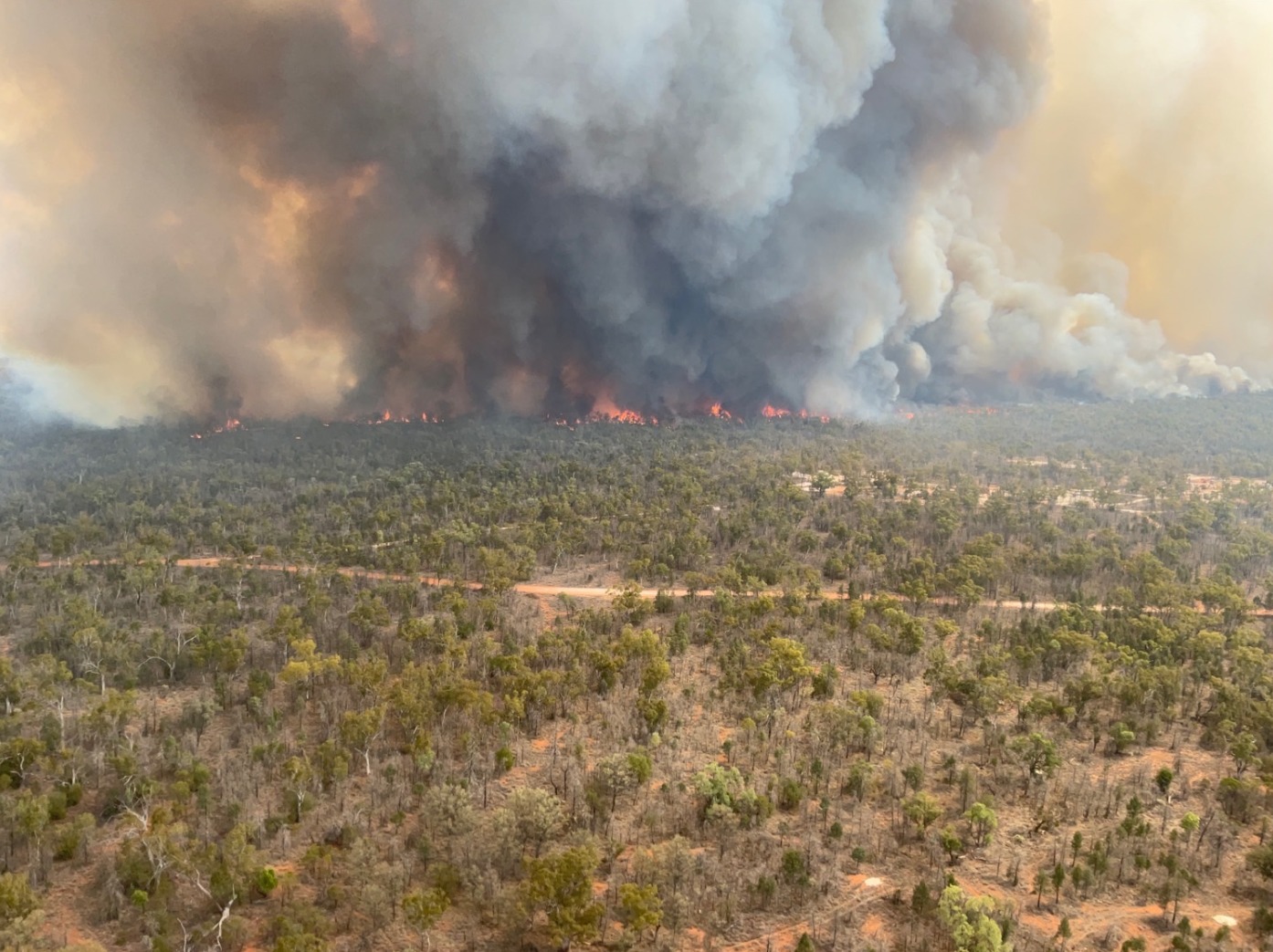 NSW volunteer firefighter dies in state’s north-west after being hit by ...