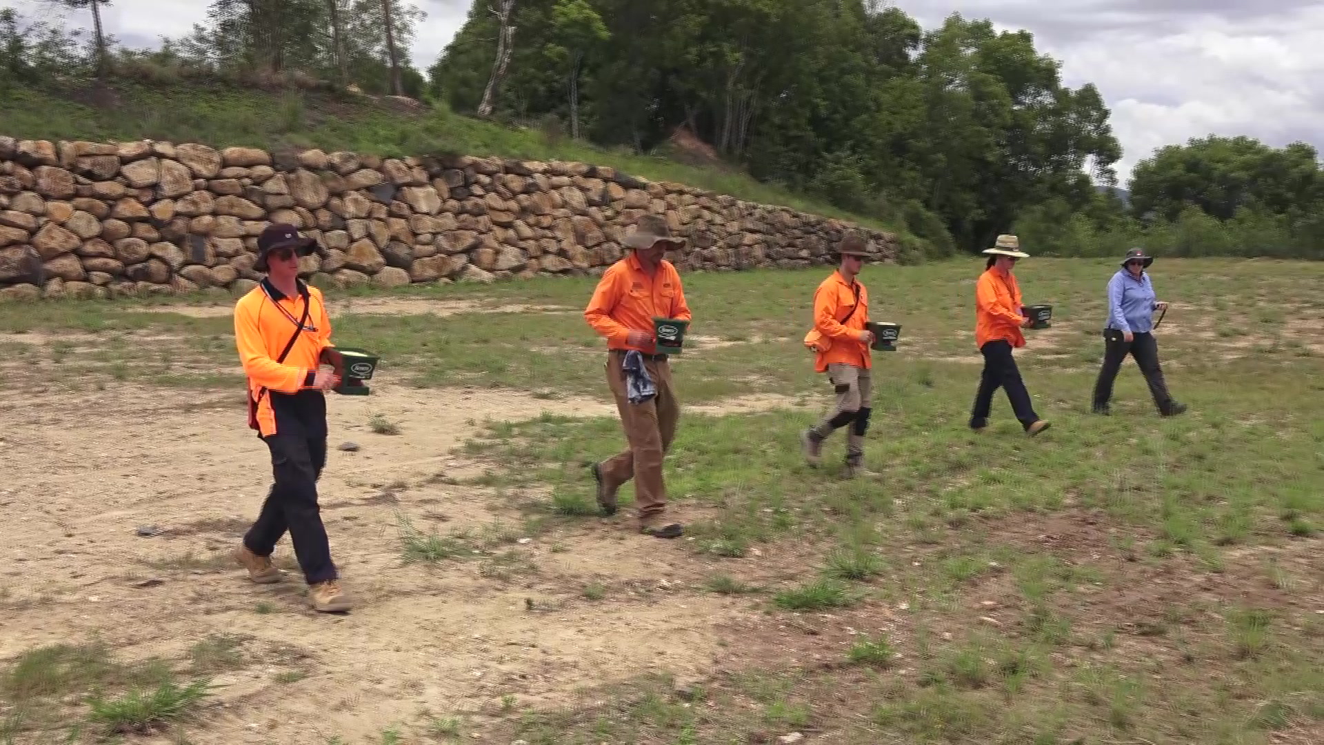 Nsw Fire Ant Detection Prompts Biosecurity Order Nbn News