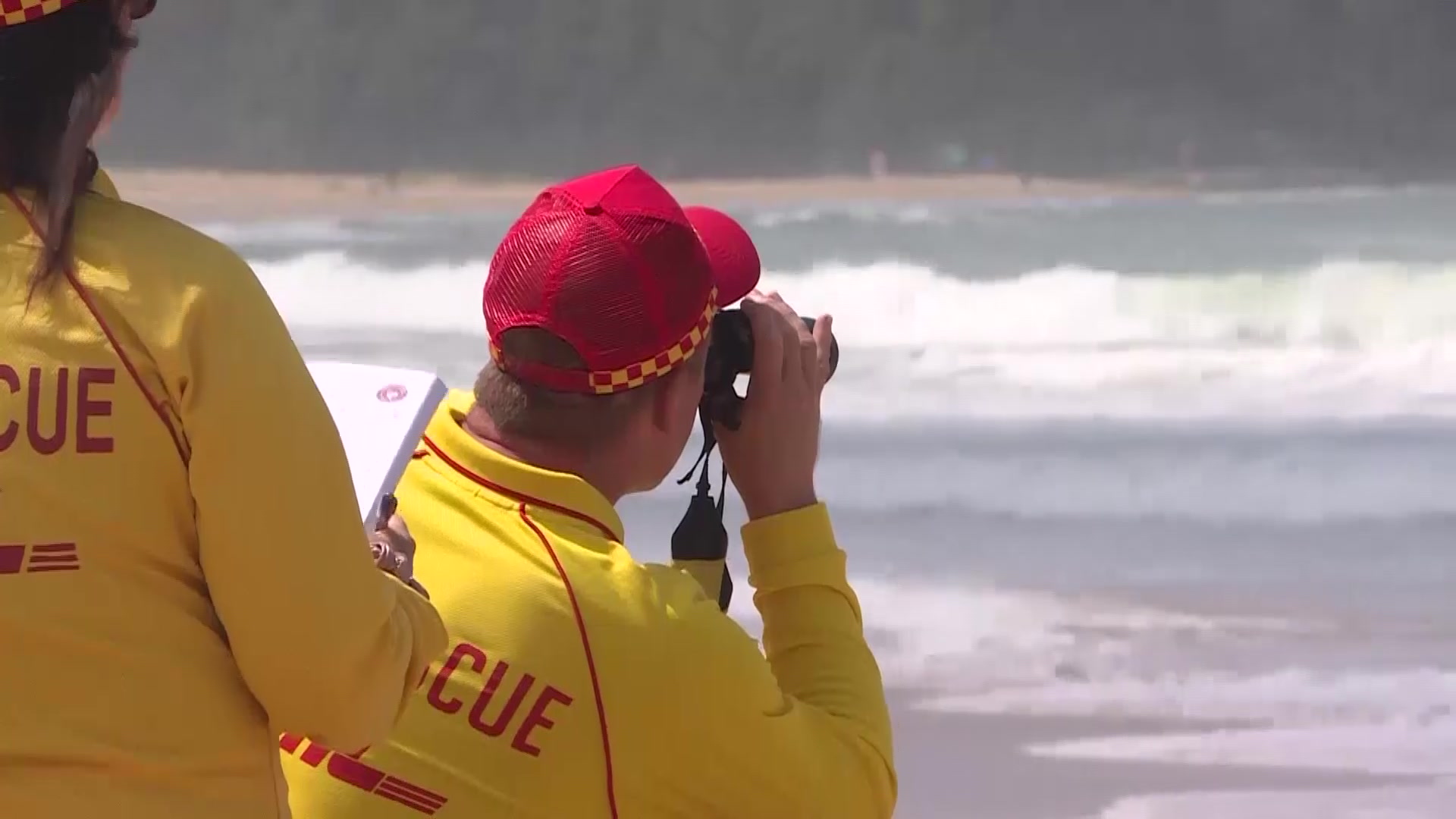 New CEO appointed for Surf Life Saving Central Coast – NBN News