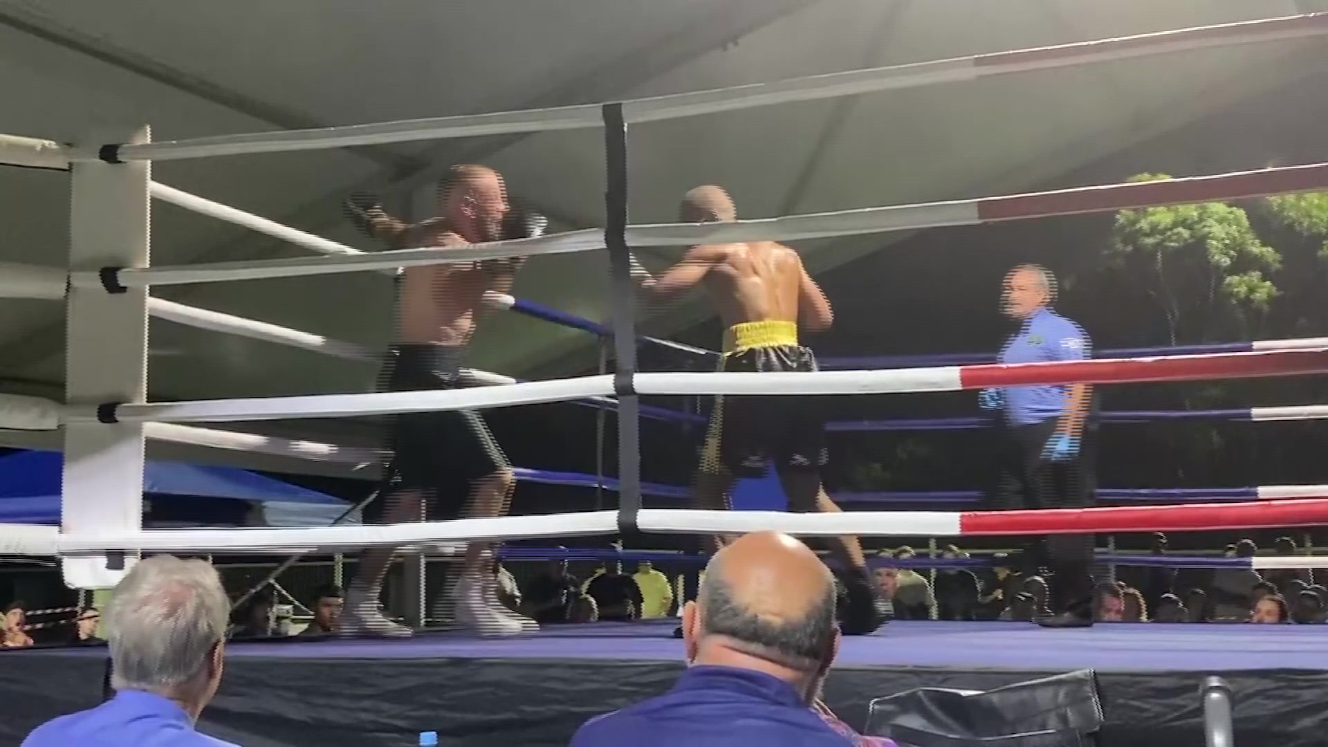 Tamworth’s Lemuel Silisia wins second pro boxing fight – NBN News