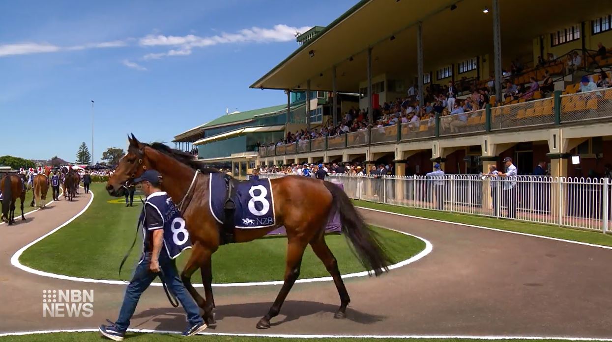 ‘The Hunter’ returns for a fifth time – NBN News