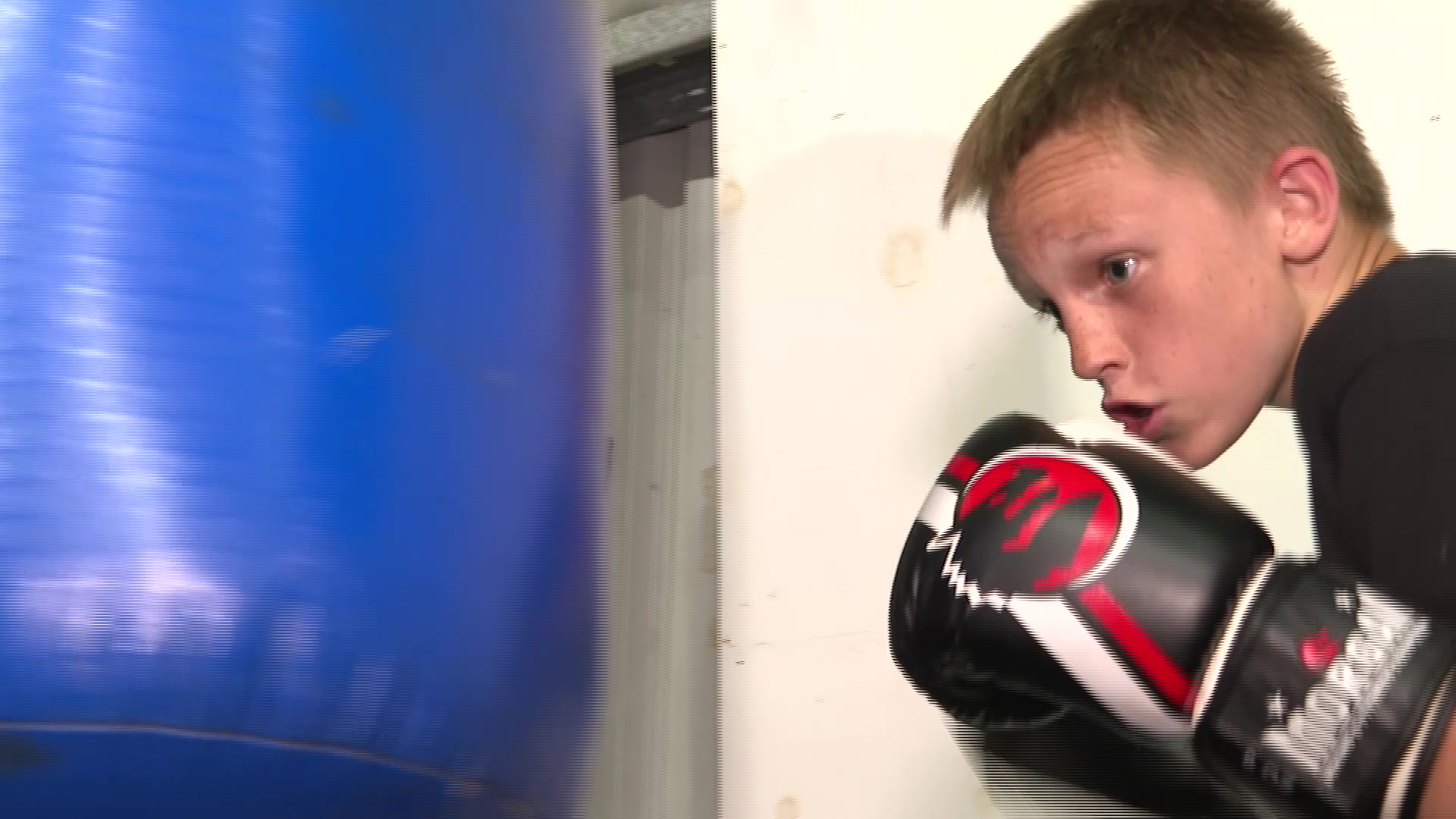 12 year old boxer to fight in Tasmania – NBN News