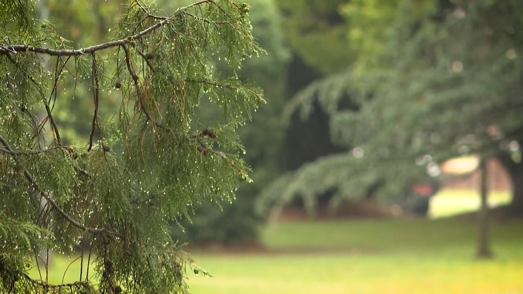 Minor flood warning issued for Peel and Namoi rivers – NBN News