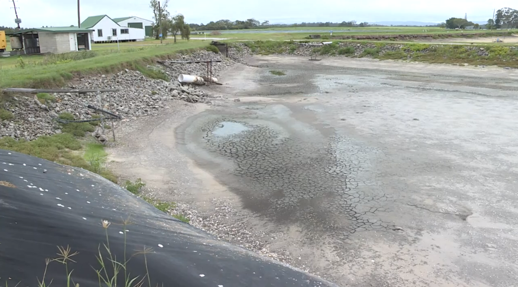 Clarence Valley prawn farmers consider selling up – NBN News