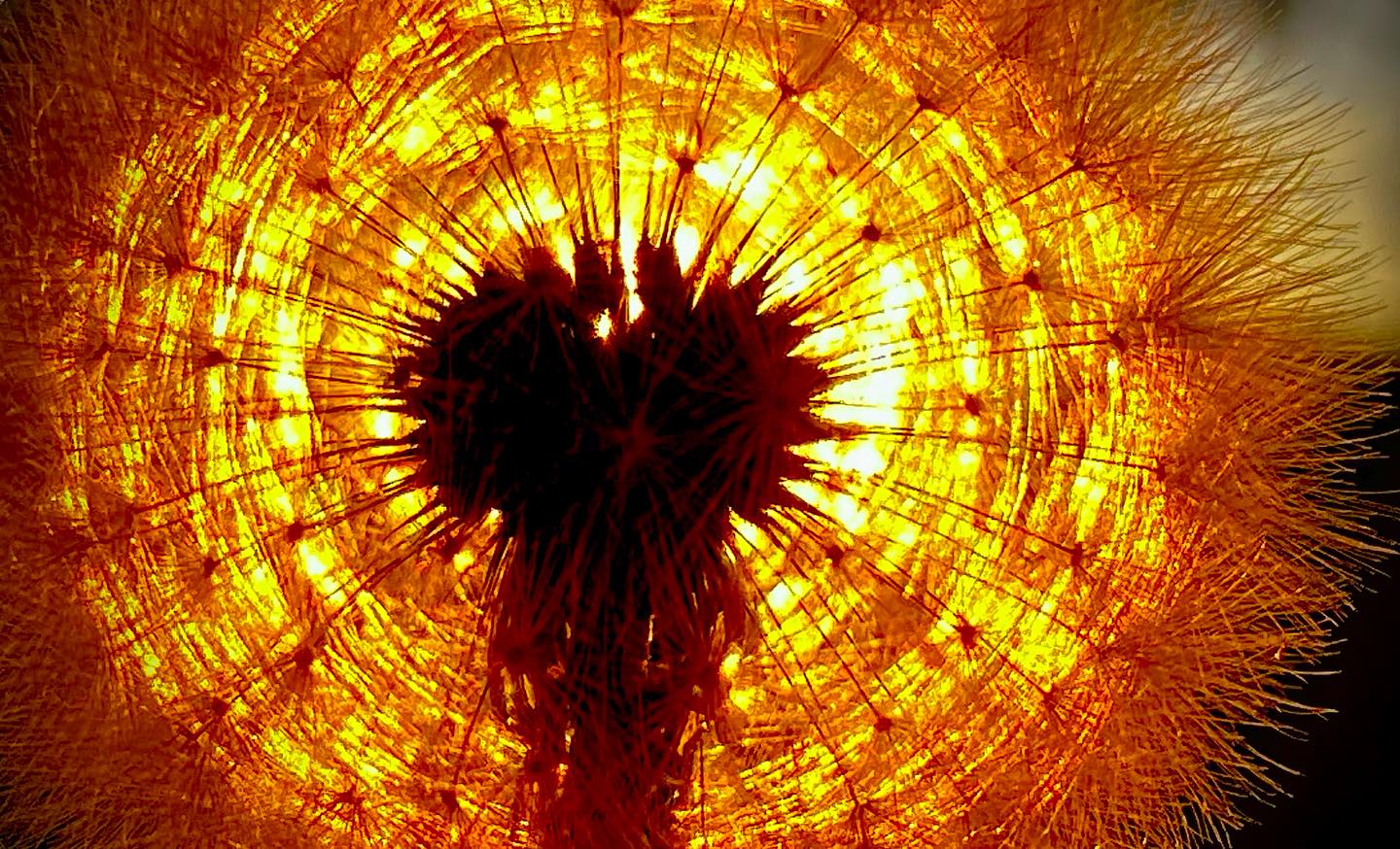 Daily weathershot – NBN News