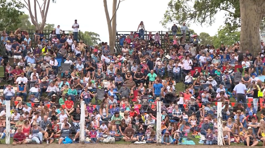 Wingham Rodeo to attract thousands this Saturday – NBN News
